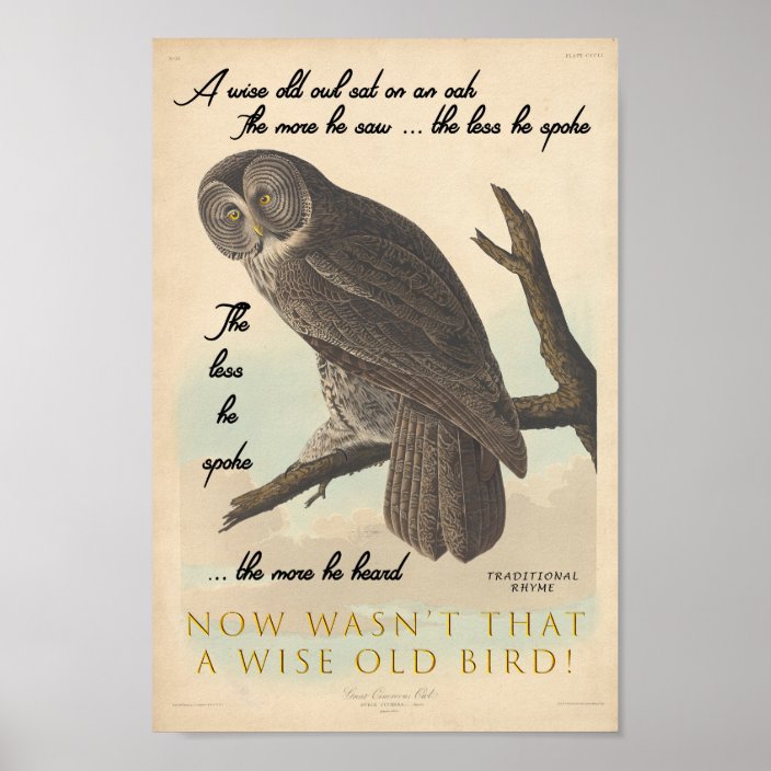 Wise Old Owl Poster | Zazzle.com