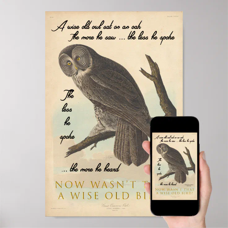 Wise Old Owl Poster | Zazzle