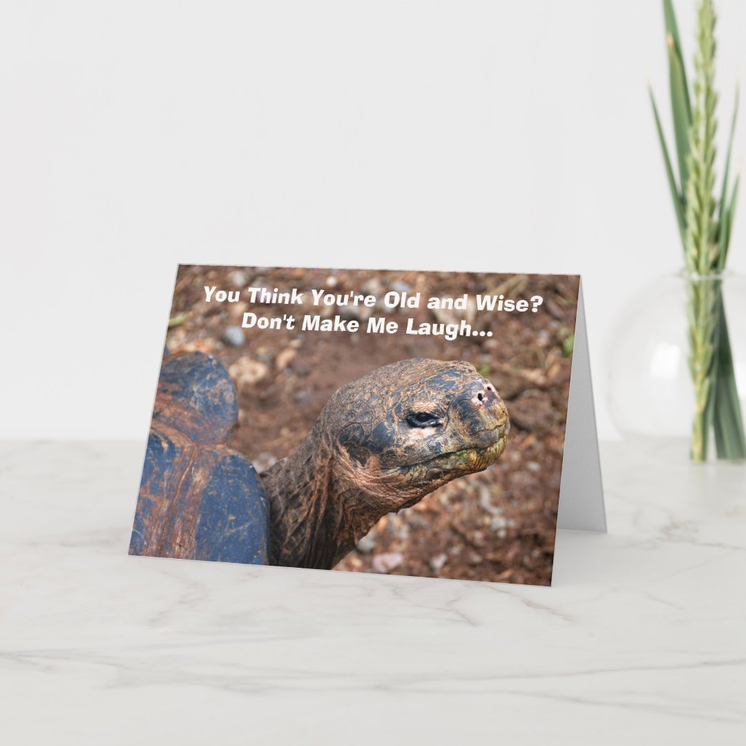 Wise Old Tortoise Happy Birthday Humor Card | Zazzle