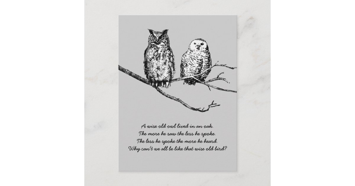 Wise Owl Wisdom Postcard | Zazzle