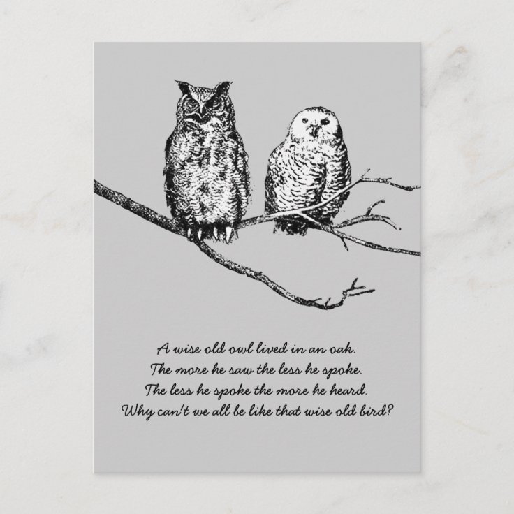 Wise Owl Wisdom Postcard | Zazzle