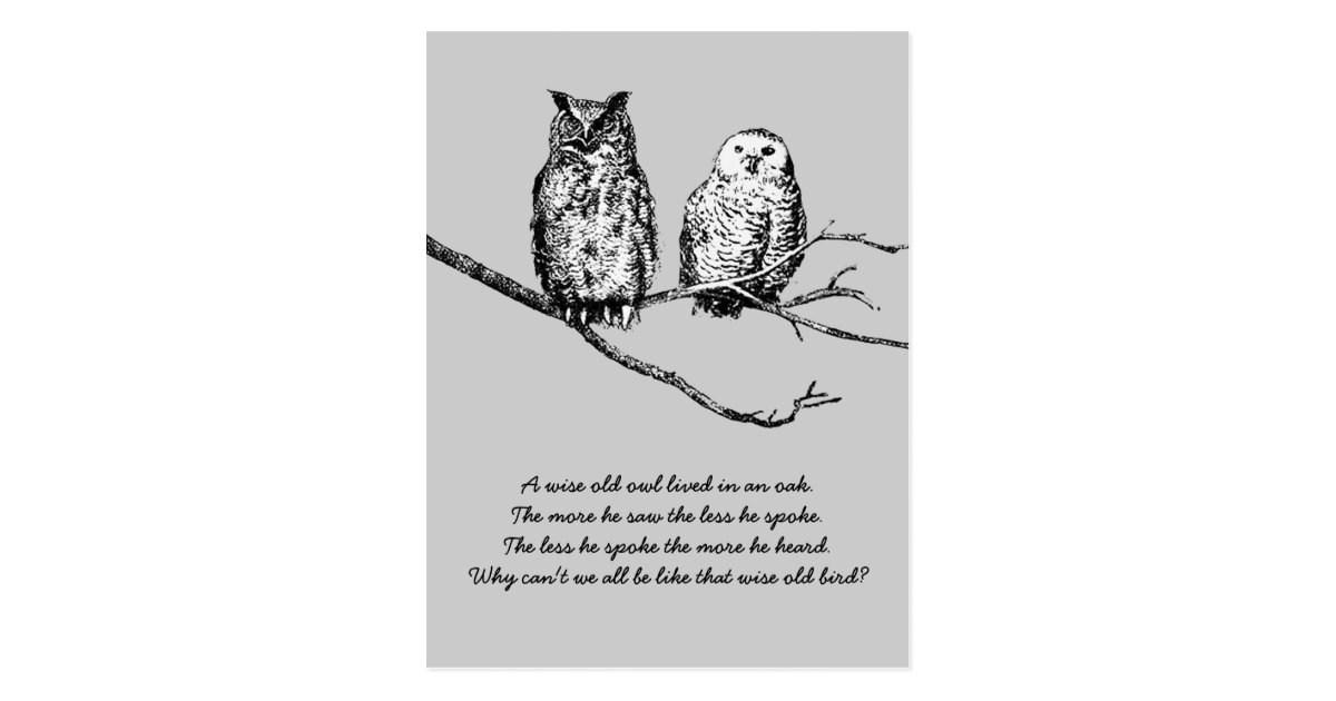Wise Owl Wisdom Postcard | Zazzle.com