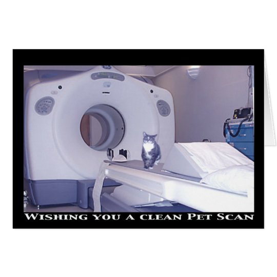 Wishing you a clean Pet Scan Card | Zazzle.com