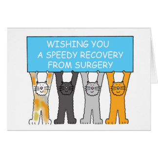 Funny Cat Get Well Cards - Greeting & Photo Cards | Zazzle