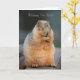 Wishing You Well cute squirrel card | Zazzle