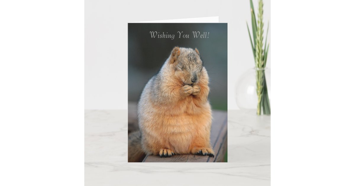 Wishing You Well cute squirrel card | Zazzle
