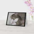 Wistful Cat Missing You Greeting Card | Zazzle