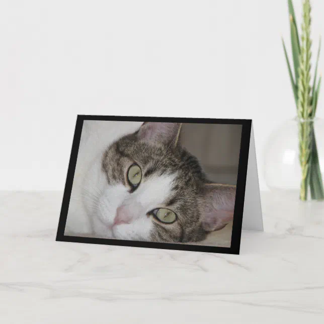 Wistful Cat Missing You Greeting Card | Zazzle