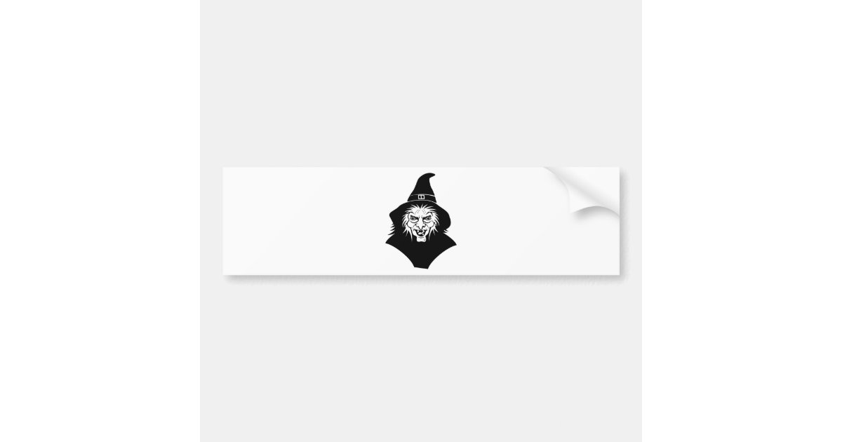 Witch! Bumper Sticker | Zazzle