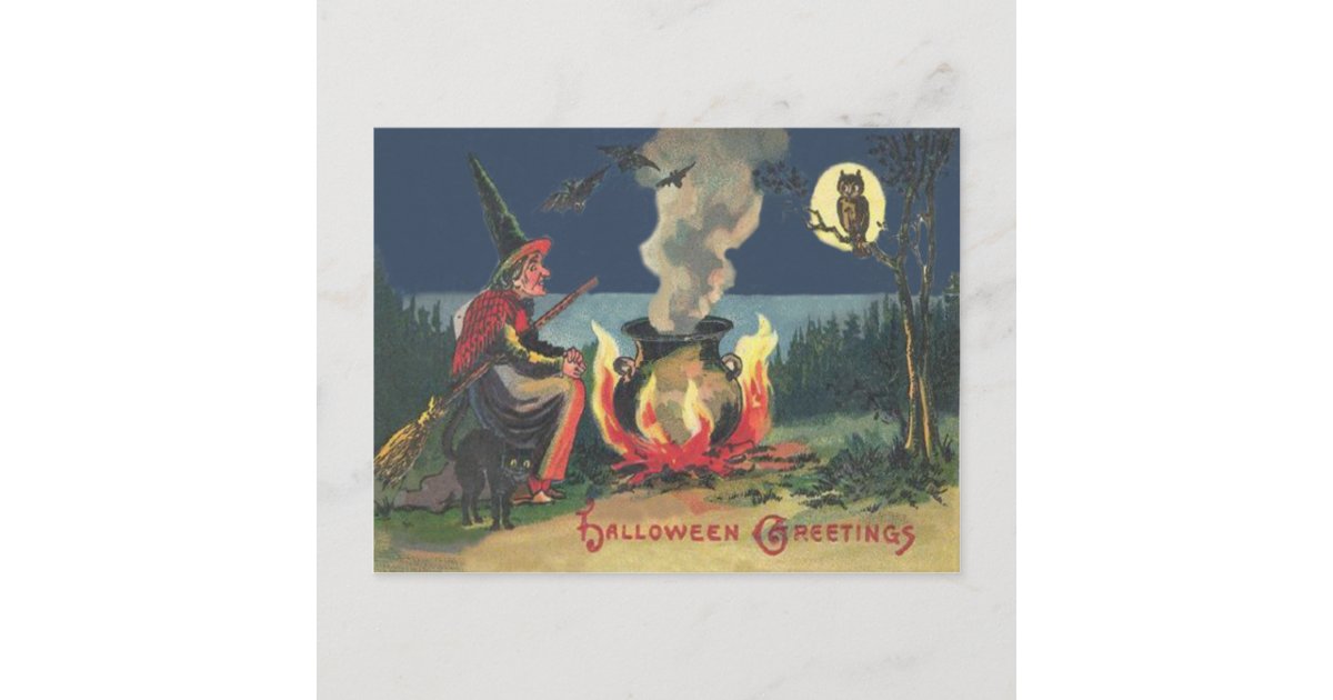Witch Caldron Black Cat Bat Postcard | Zazzle