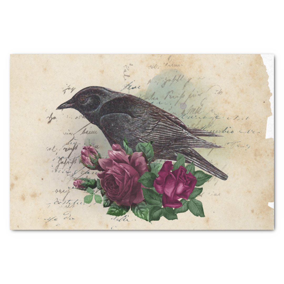 Witch Ephemera Design Series #10 Tissue Paper | Zazzle