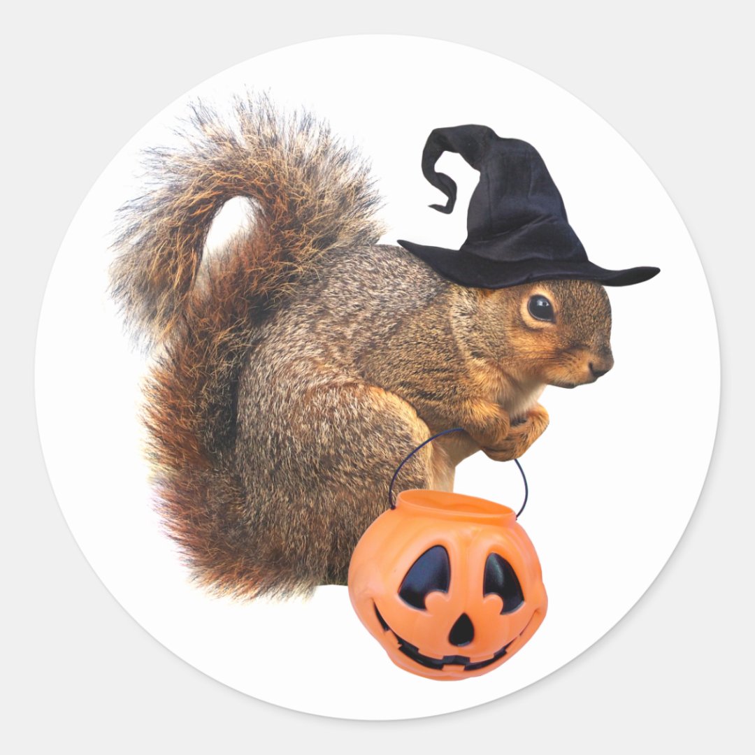 Witch Squirrel Trick-or-Treat Sticker | Zazzle