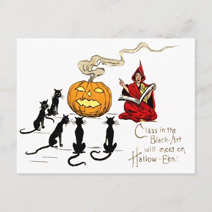 Witch Teaching Black Cat Jack O' Lantern Postcard | Zazzle