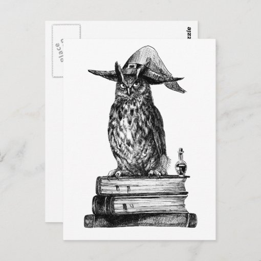 Witchcraft owl Halloween magic Postcard | Zazzle