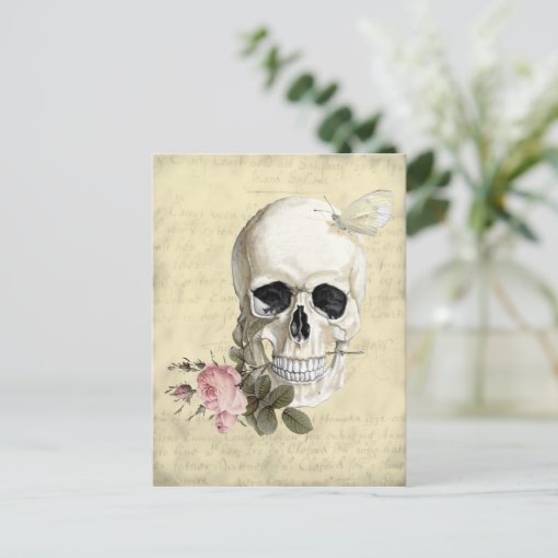 With a rose between my teeth postcard | Zazzle