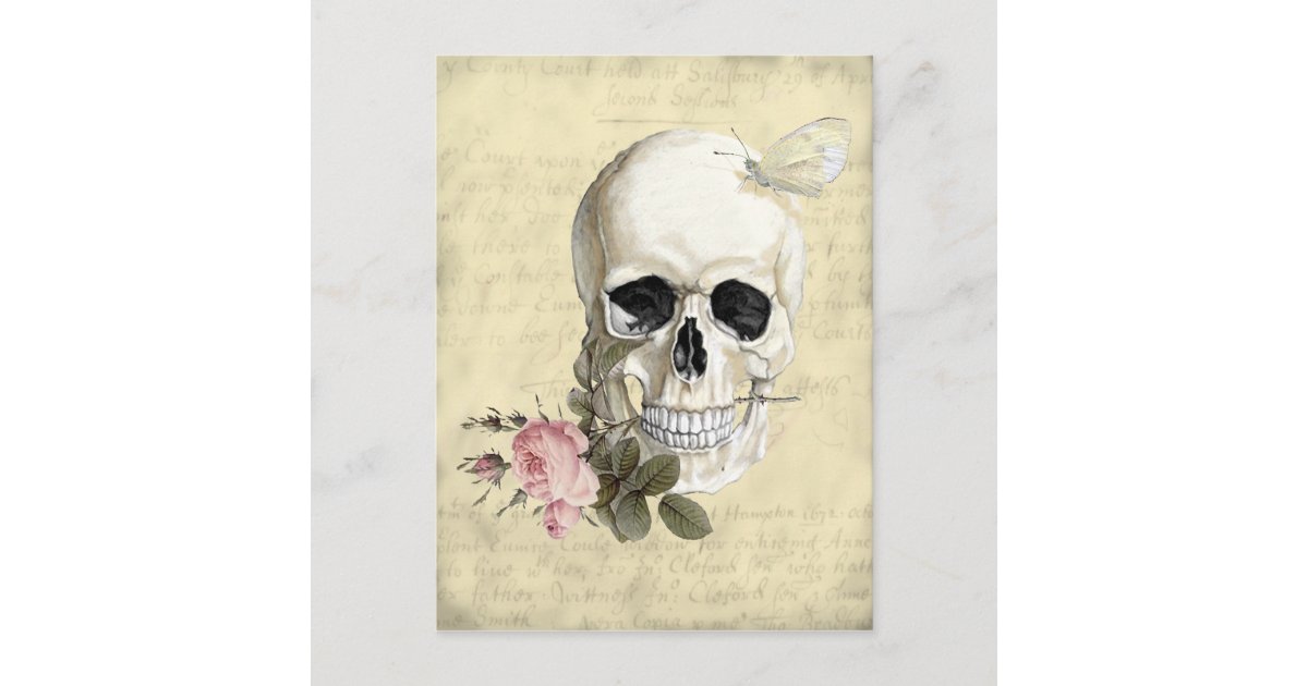 With a rose between my teeth postcard | Zazzle