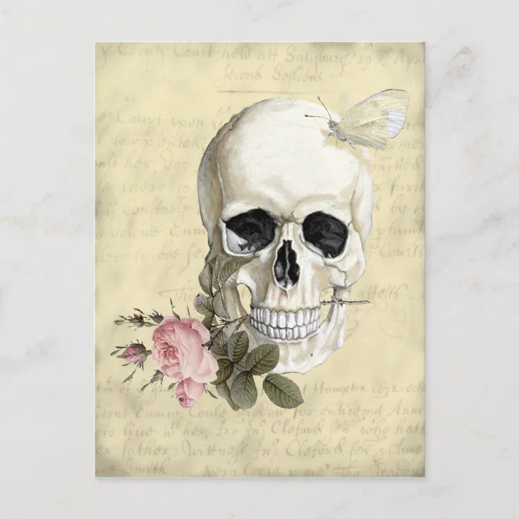 With a rose between my teeth postcard | Zazzle