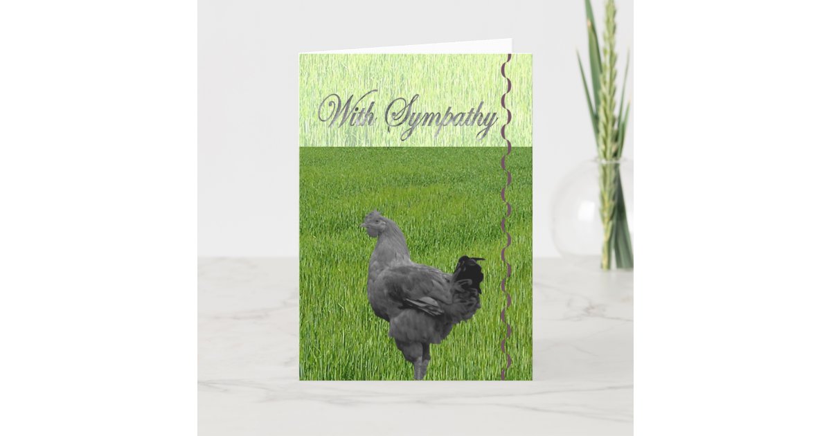 With Sympathy (loss of a chicken) Card | Zazzle