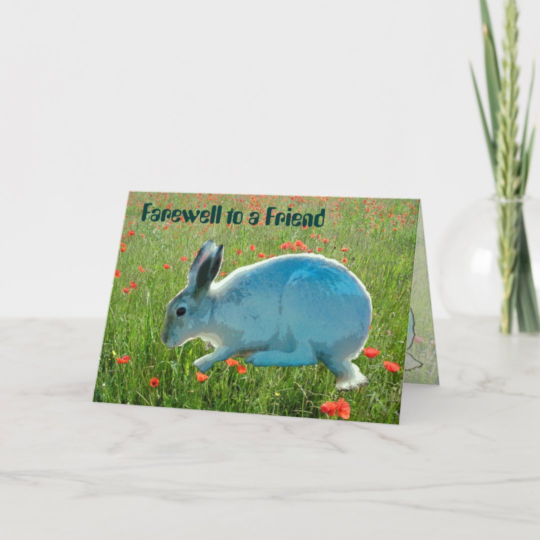 With Sympathy (loss of a rabbit) Card | Zazzle