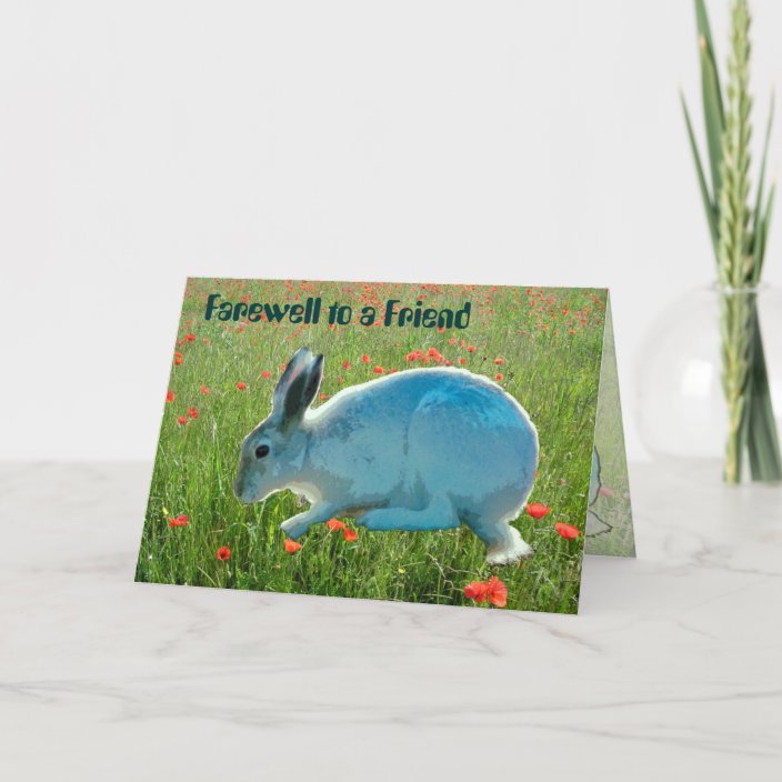 With Sympathy (loss of a rabbit) Card | Zazzle.com