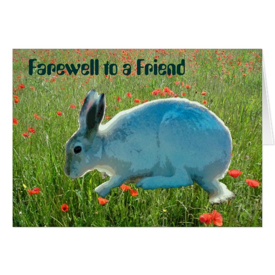 With Sympathy (loss of a rabbit) Card | Zazzle.com