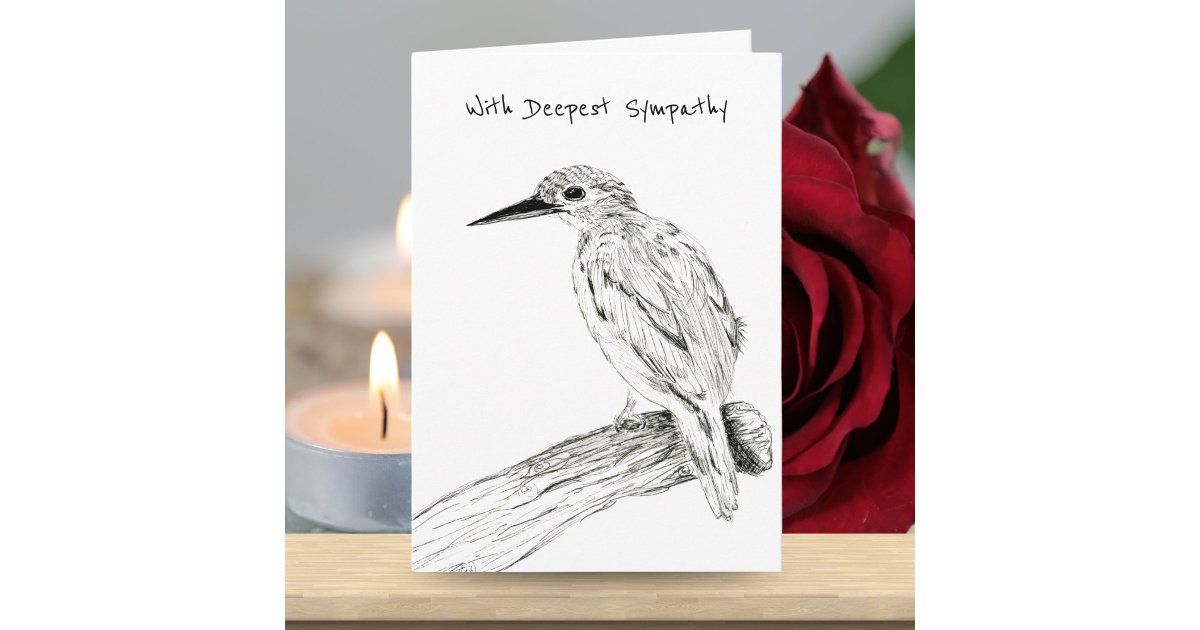 With Sympathy Oriental Dwarf Kingfisher Drawing Card | Zazzle