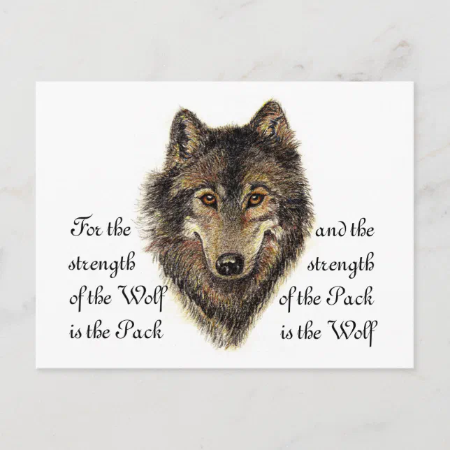 Wolf and Pack Quote - Animal Collection Postcard | Zazzle