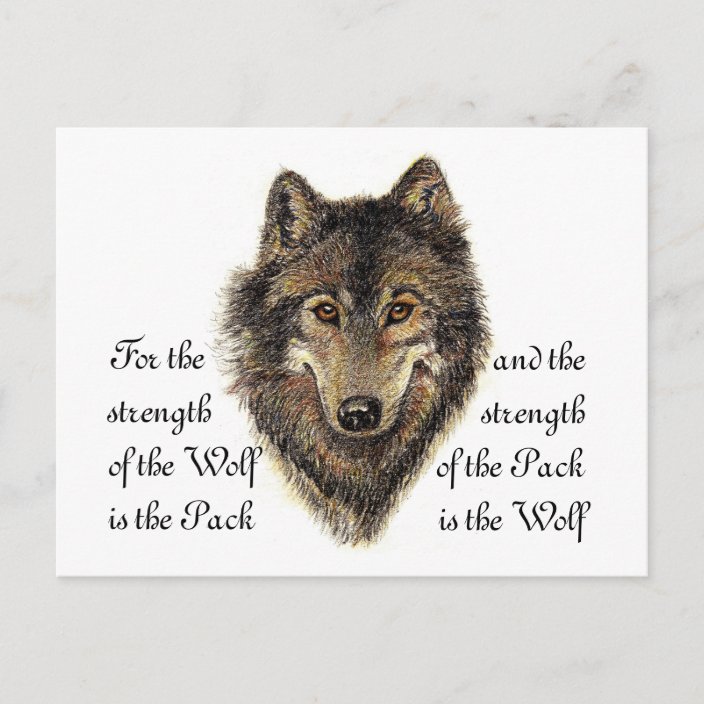 Wolf and Pack Quote - Animal Collection Postcard | Zazzle.com