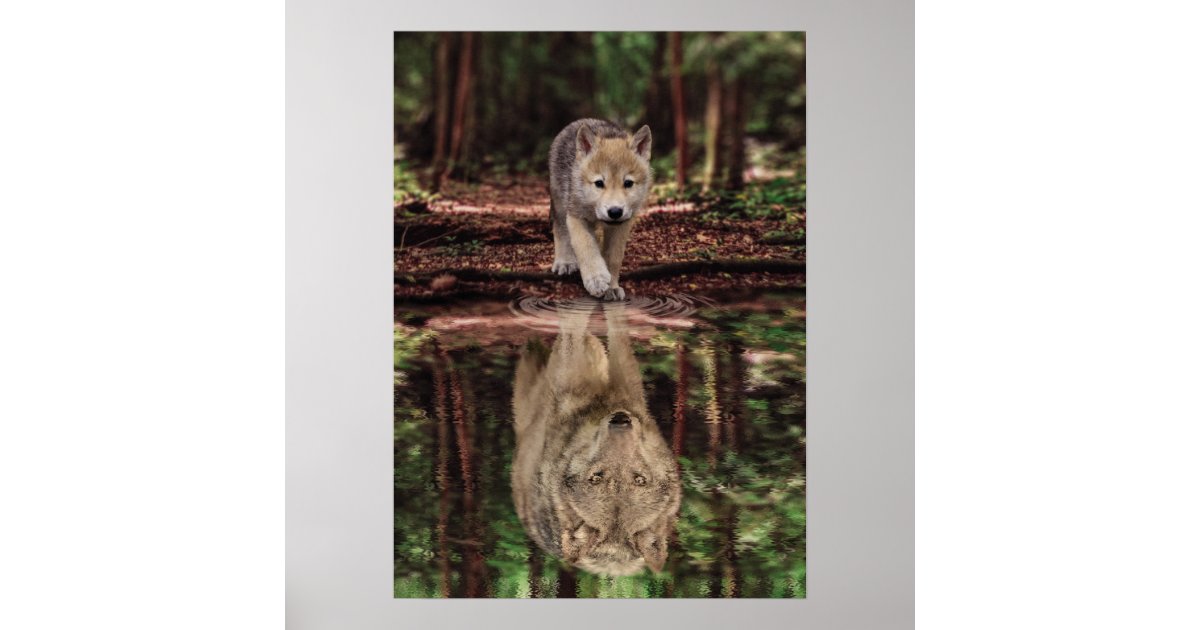 Wolf and Pup Water Reflection, Abstract Motivation Poster | Zazzle