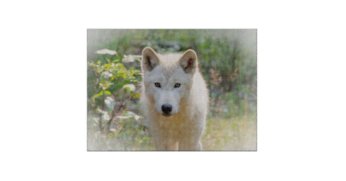 Wolf Animal Art, Canadian Wildlife Cutting Board | Zazzle