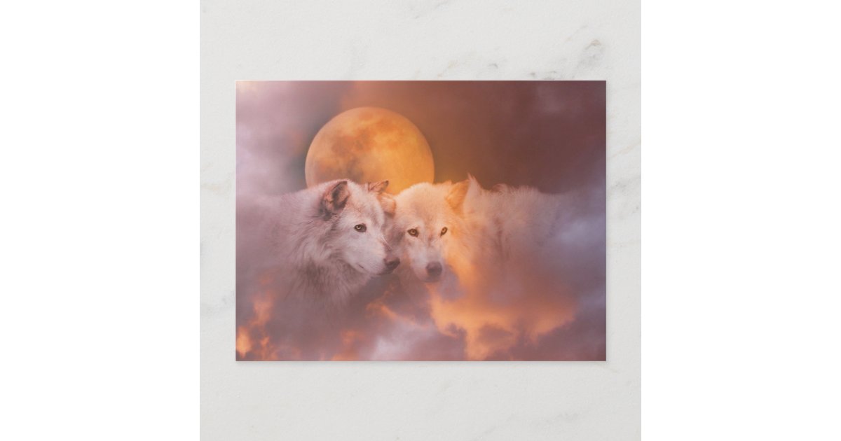 Wolf Artwork Postcard | Zazzle
