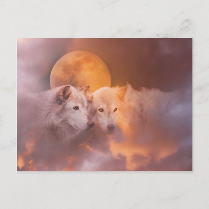 Wolf Artwork Postcard | Zazzle