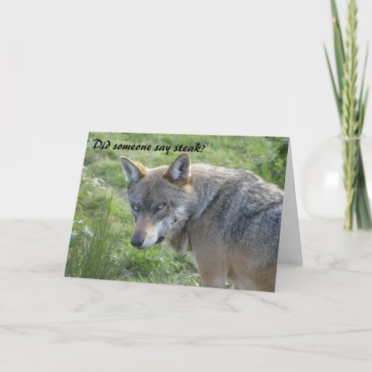 Wolf birthday card | Zazzle.com