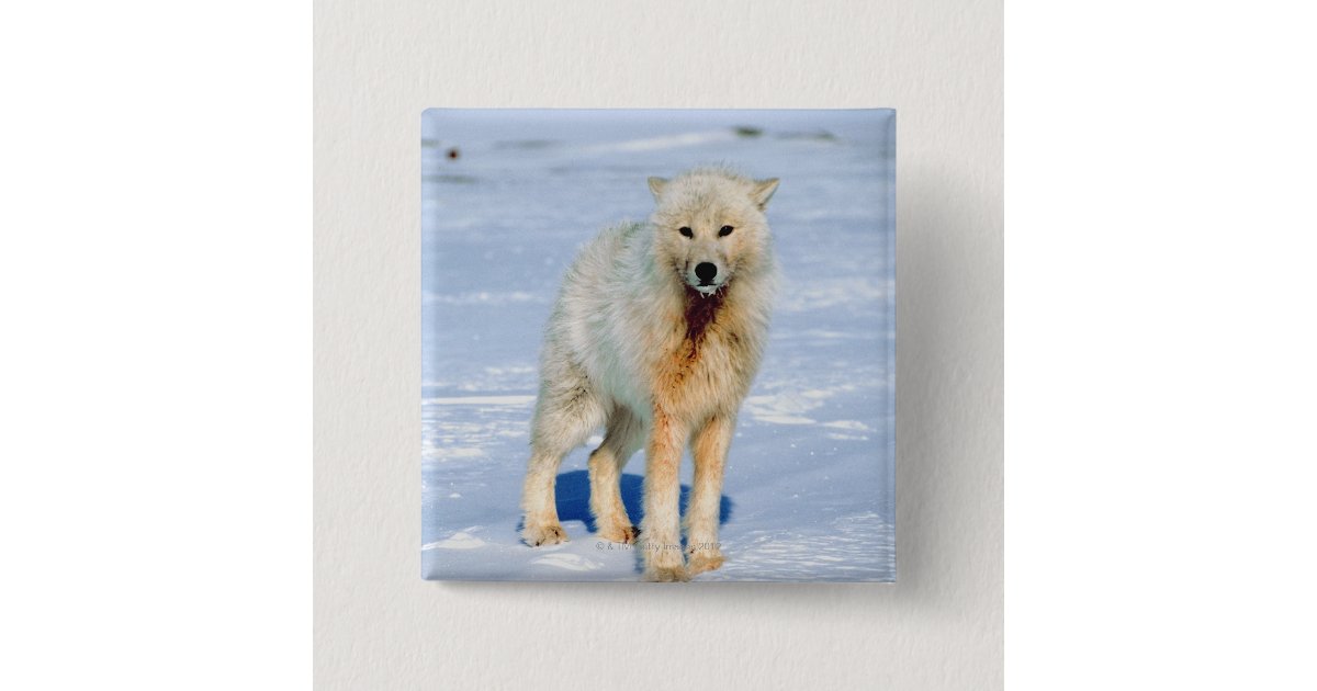 Wolf Button | Zazzle