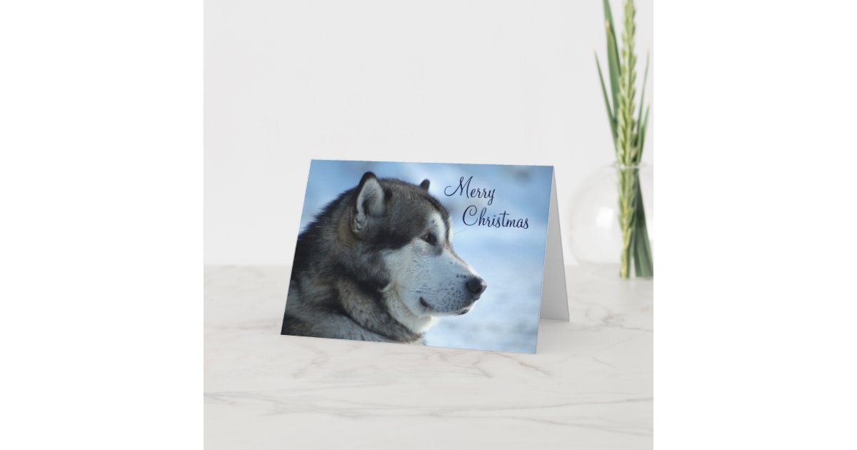 Wolf Christmas Card - Merry Christmas | Zazzle