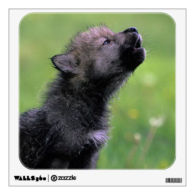 Wolf Cub Howling Wall Sticker | Zazzle