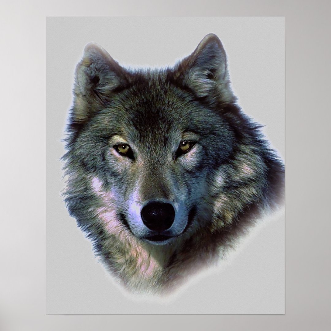 Wolf Eyes Artwork Poster Print | Zazzle