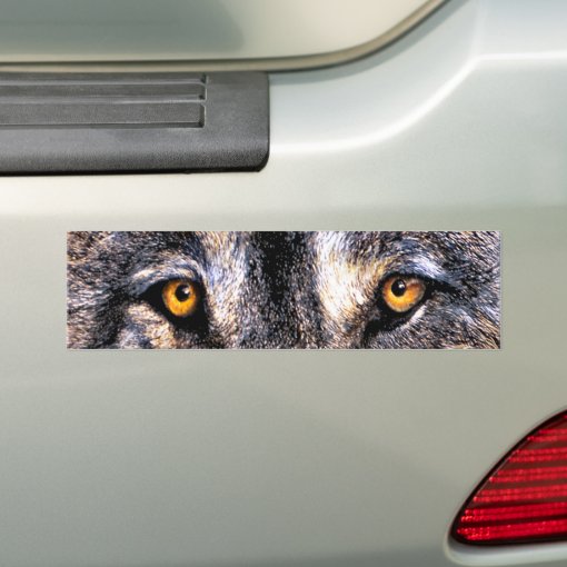 Wolf Eyes Bumper Sticker | Zazzle
