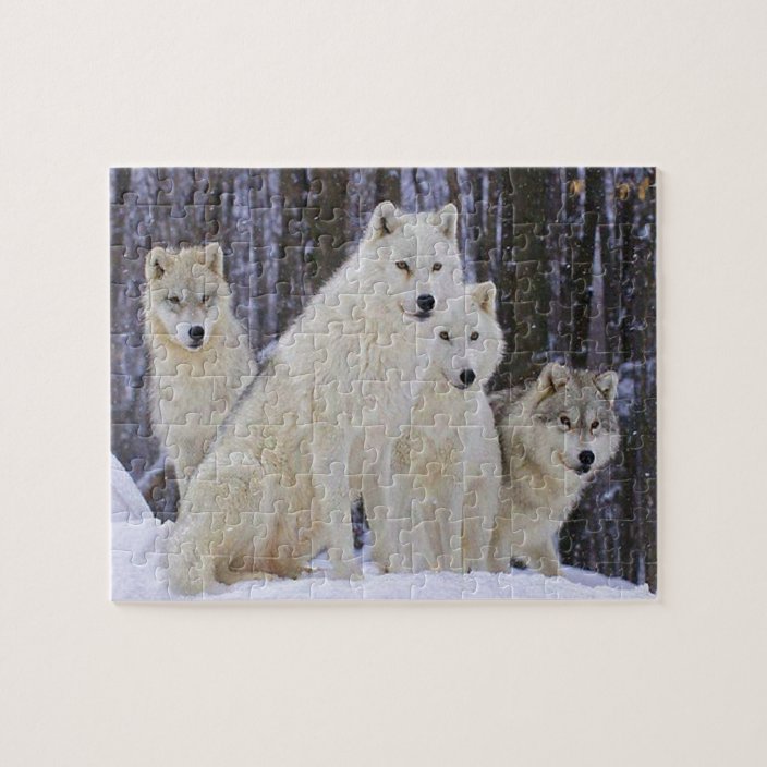Wolf Family Jigsaw Puzzle | Zazzle.com