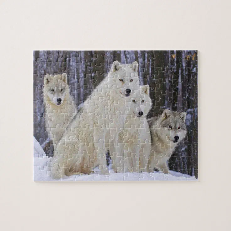 Wolf Family Jigsaw Puzzle | Zazzle