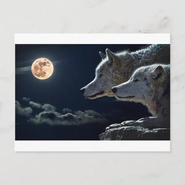 Wolf Gifts Postcard | Zazzle