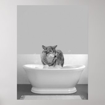 Wolf in Bathtub Bubble bath Poster | Zazzle