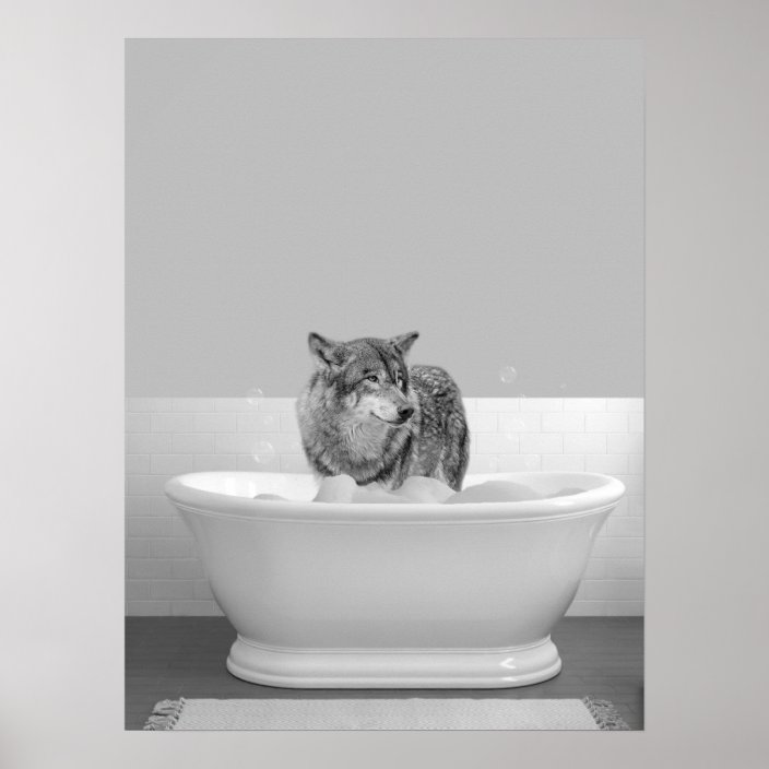Wolf in Bathtub Bubble bath Poster | Zazzle.com