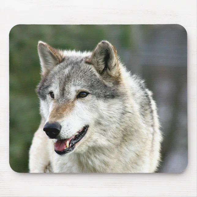 Wolf Mouse Pad | Zazzle