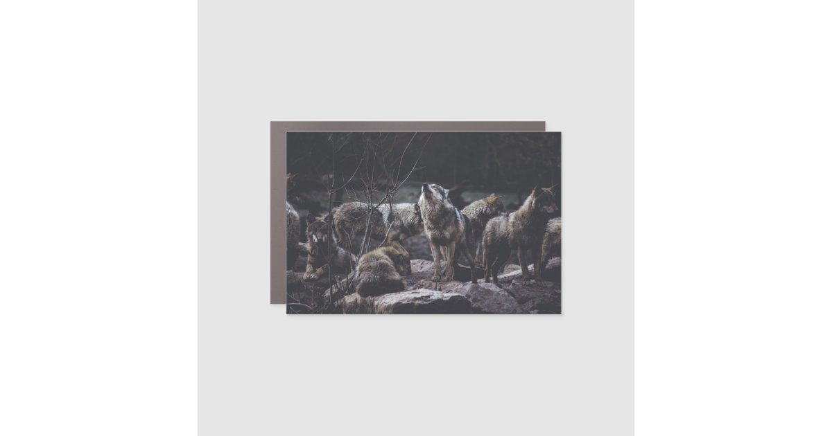 Wolf Pack Car Magnet | Zazzle