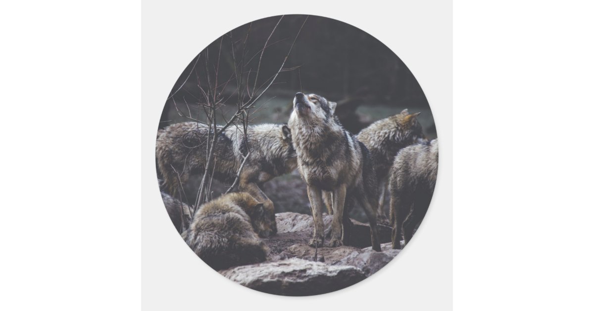 Wolf Pack Classic Round Sticker | Zazzle