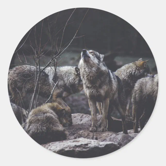 Wolf Pack Classic Round Sticker | Zazzle