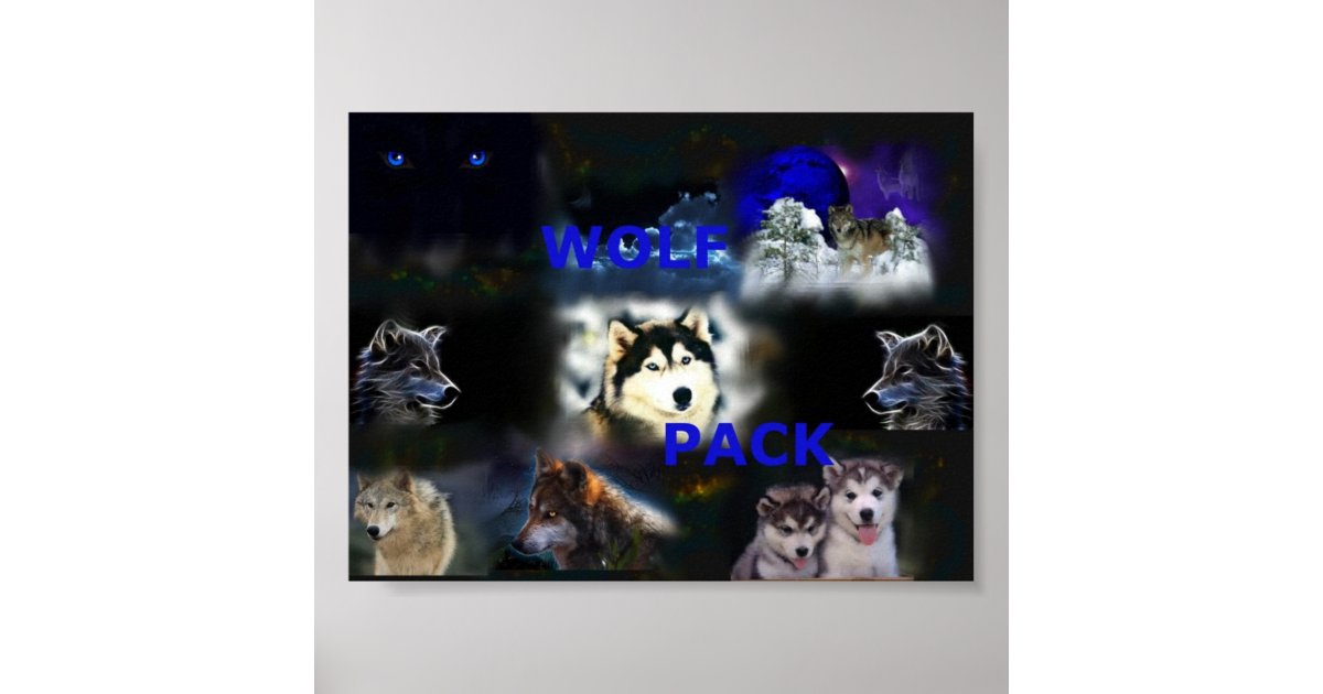 Wolf Pack poster | Zazzle