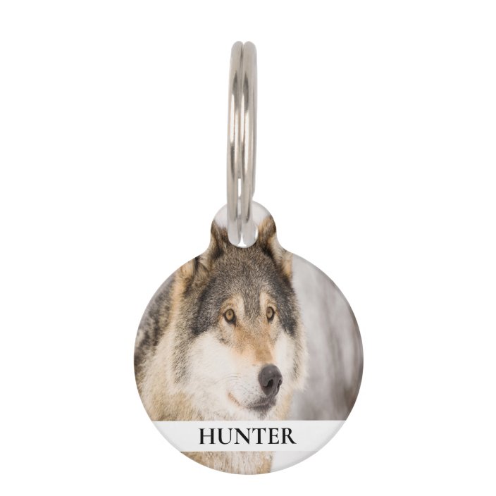 Wolf pet dog photo your animal fun name pet ID tag | Zazzle.com