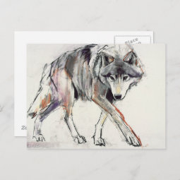 Wolf Postcard | Zazzle